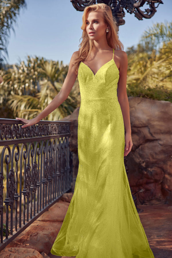 Prom & Evening Gowns – Alfredo Barraza Boutique